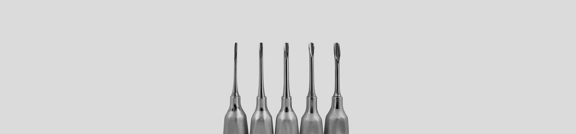 Veterinary Dental Hand Instruments