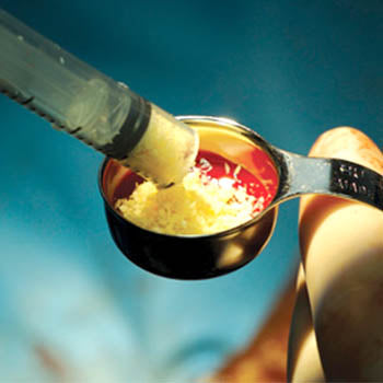 VTS Osteoallograft® Periomix® | Serona Veterinary Dental Products